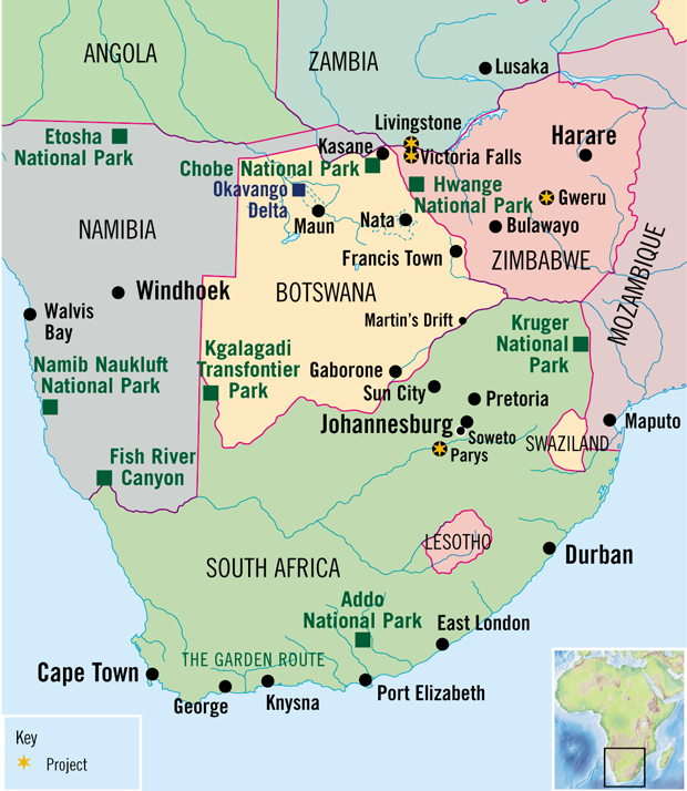 Absolute Africa : Working with Big Cats to