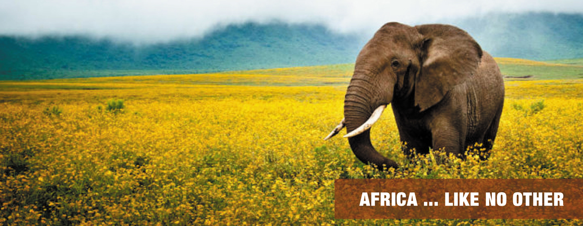 Overland Tours Africa | Absolute Africa Safaris
