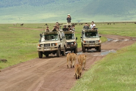 Absolute Africa Homepage