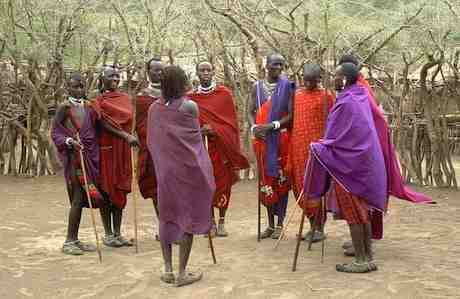 Nairobi to Maun Safari | Wildlife Wanderer